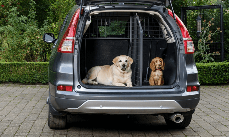 Clevere Alternative zur Hundebox gesucht? Travall hat die Lösung ...