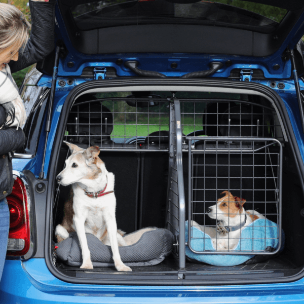 Travall Divider: Welche Vorteile hat ein Kofferraumteiler? - Travall Blog