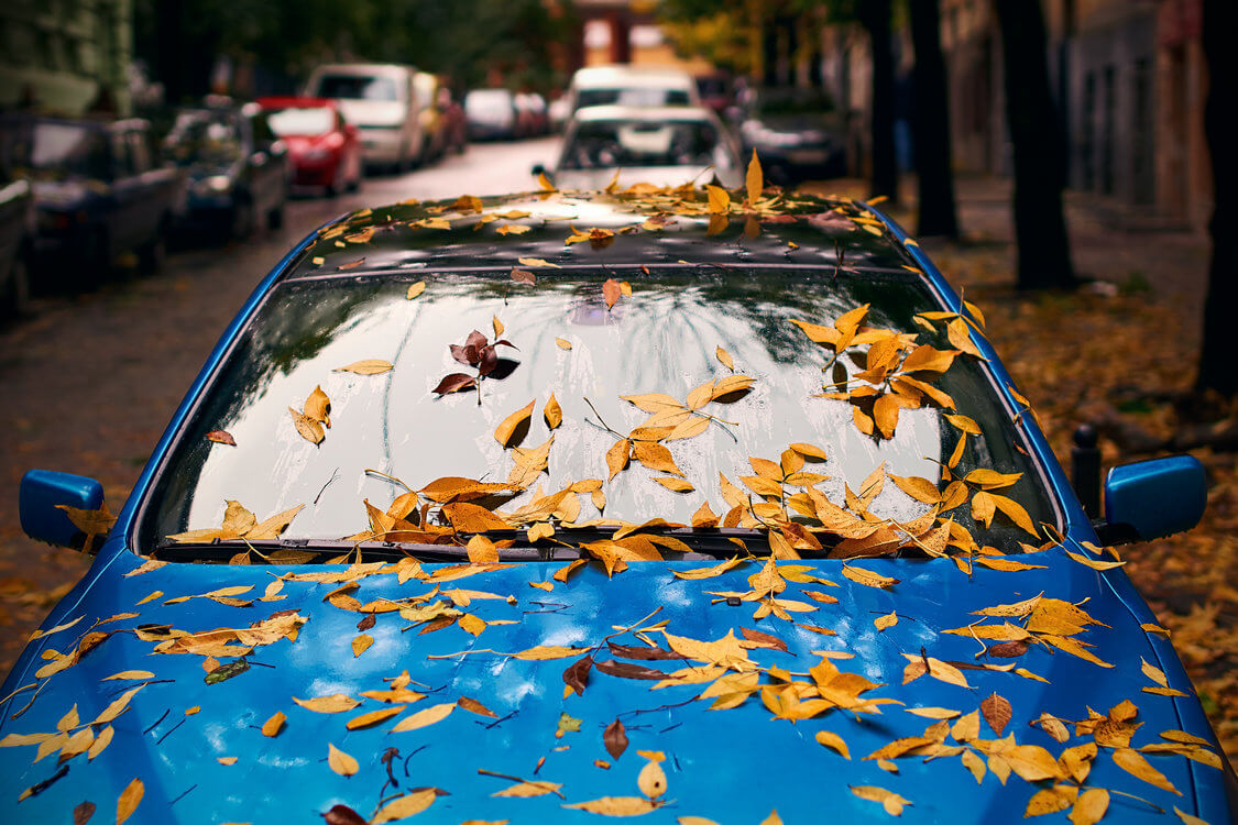 4 simple steps to help your car drive through autumn with ease ...