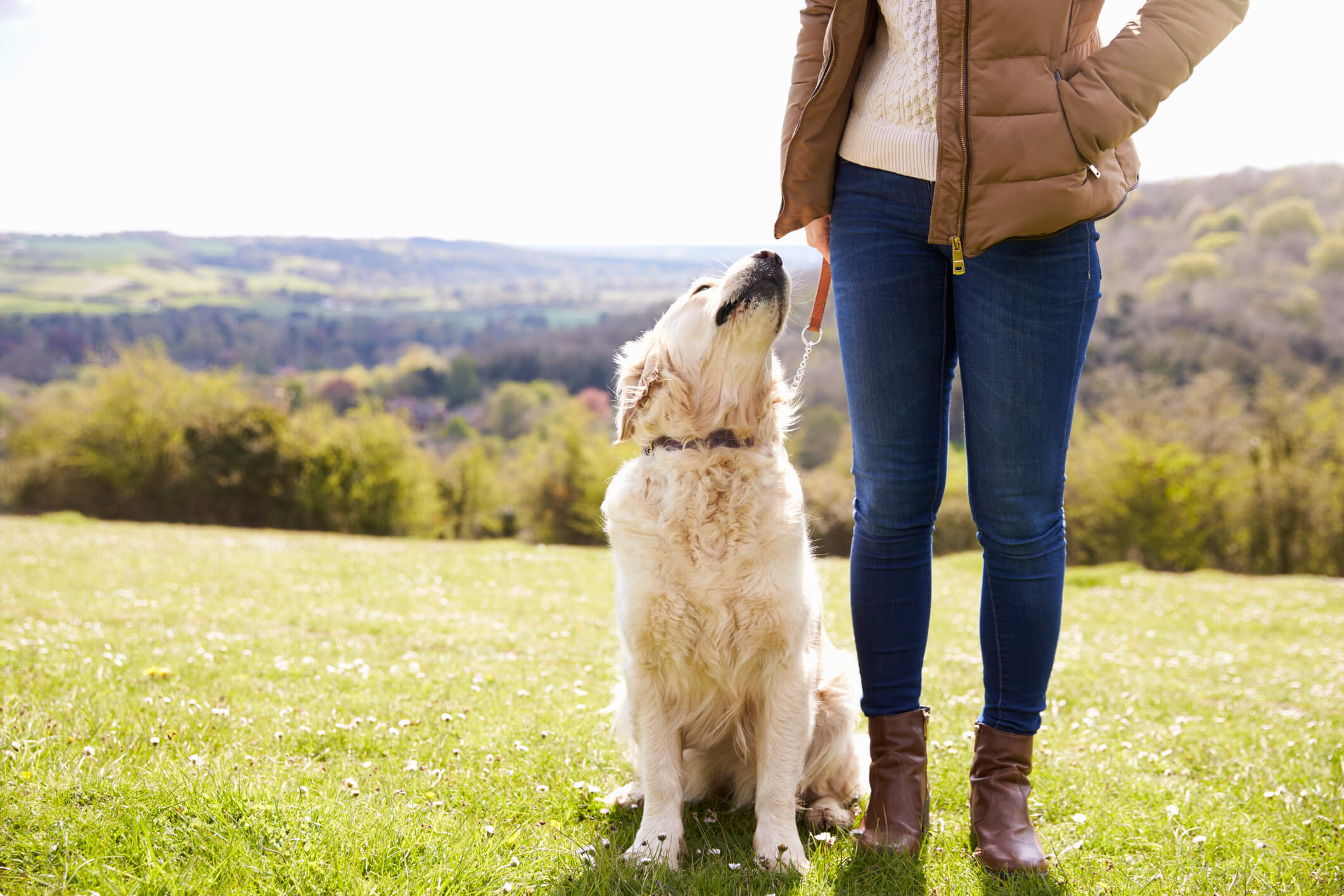 Stuck in a dog walking rut? 7 ways to make walking your dog fun again