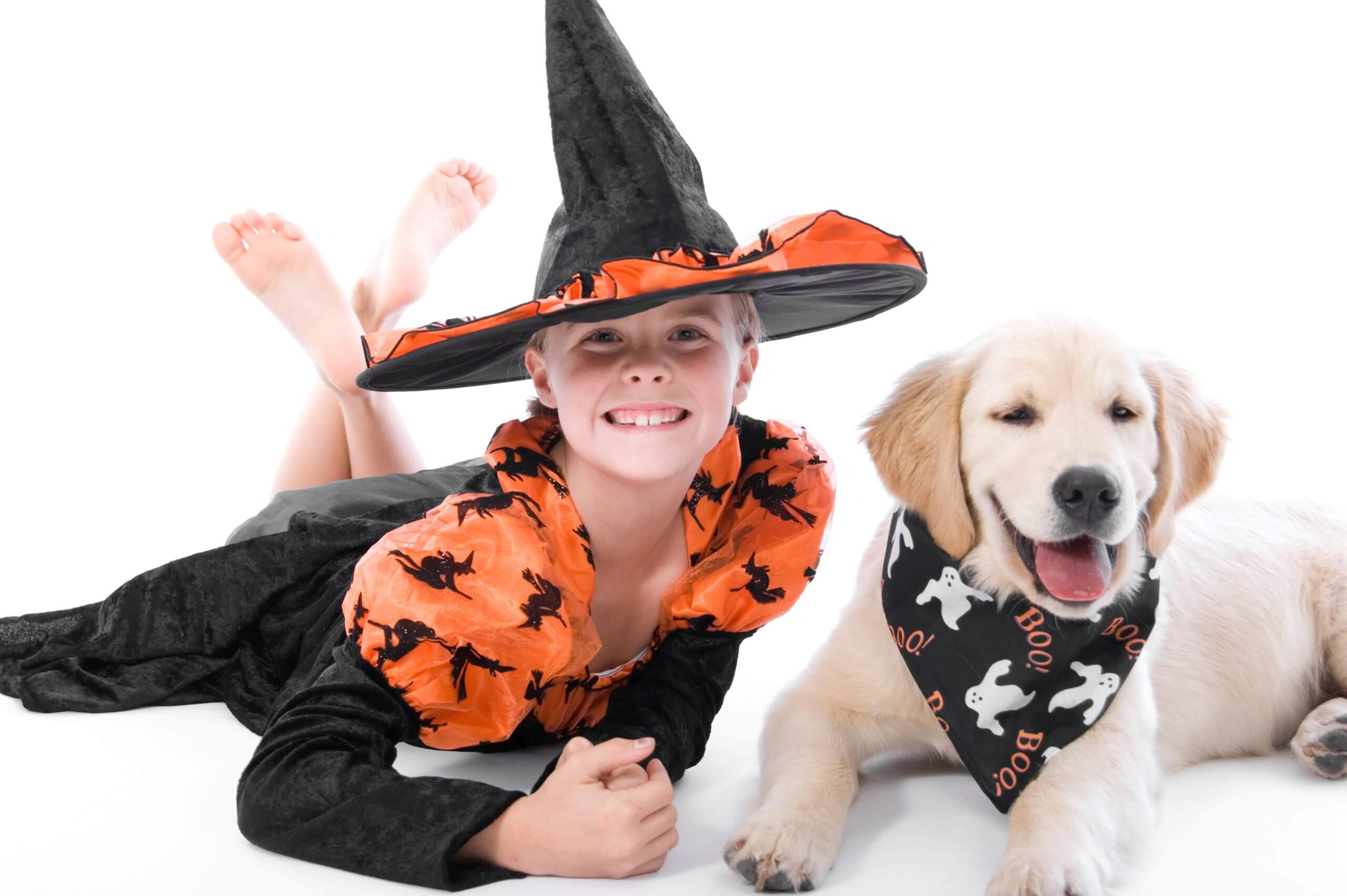 Halloween: 4 ways to make it dog friendly