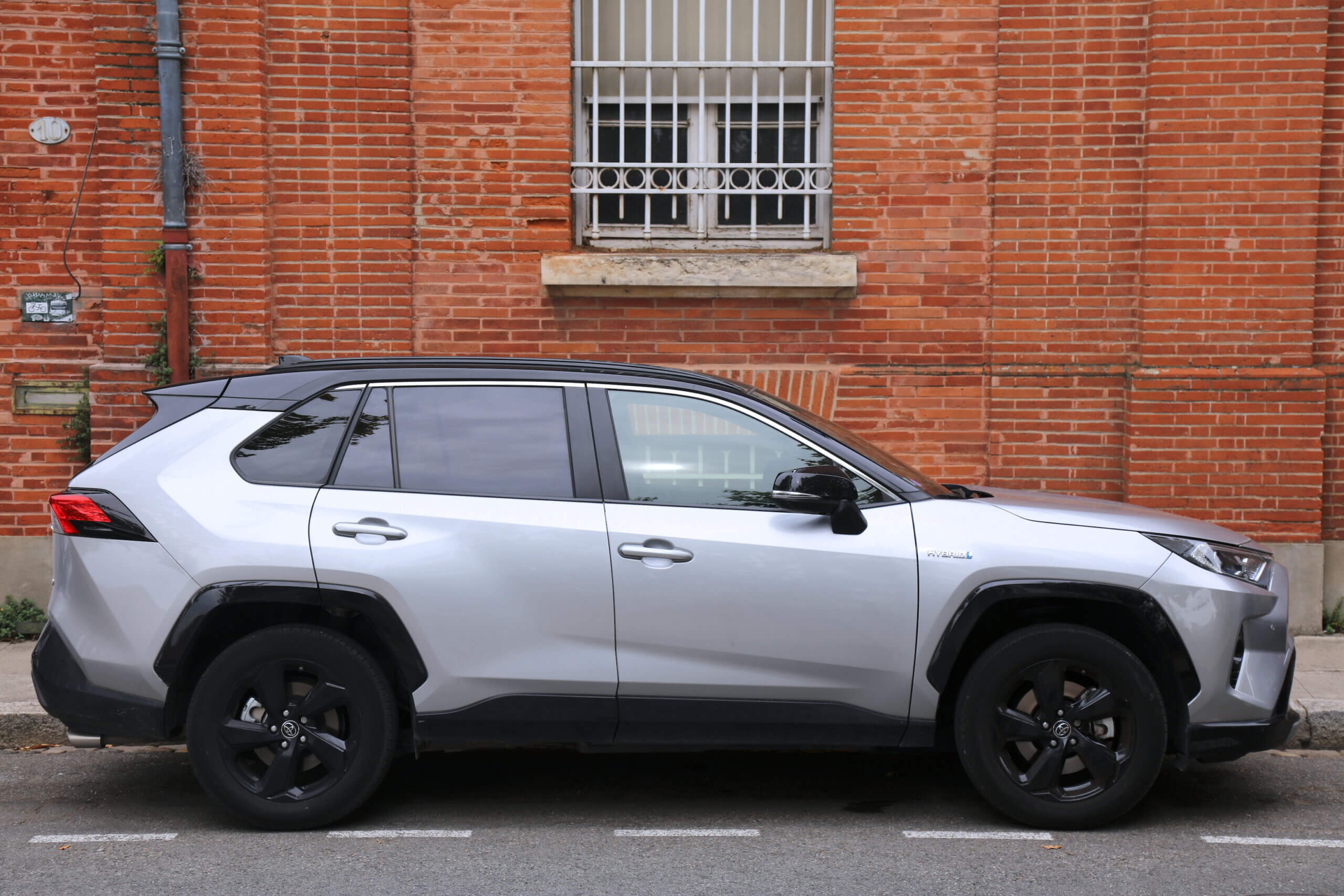 Car accessories for Toyota Rav4 that drivers with dogs need now