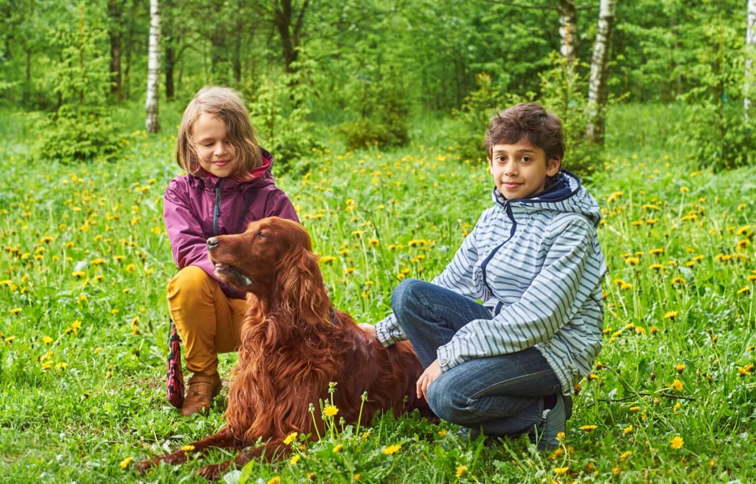 Dog Breeds for Active Families - Travall Blog Website