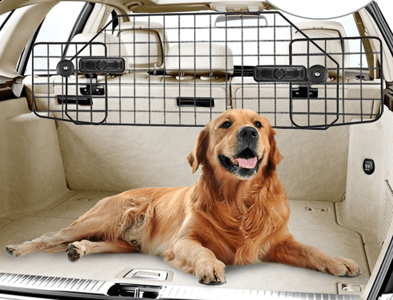 Does your Pet Barrier do THIS Travall Blog Website Travall Blog Website