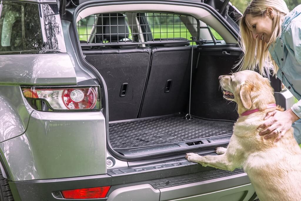 Travall: the top dog in car accessories for pet parents