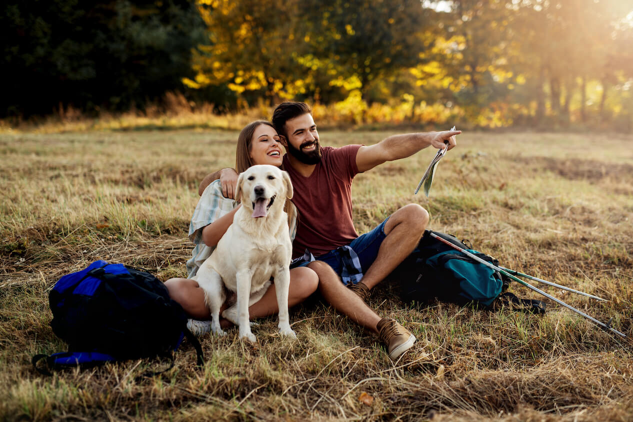 Best dog travel gadgets in 2021 to make adventures with dogs even easier
