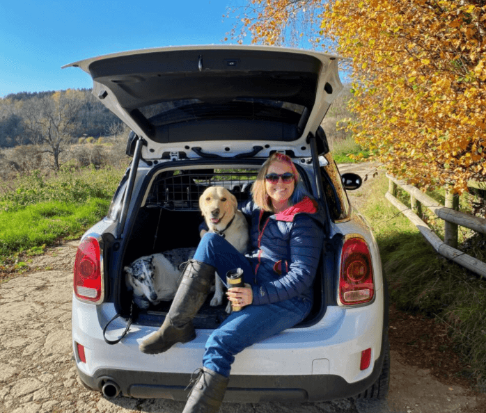 Best dog friendly cars: MINI Countryman