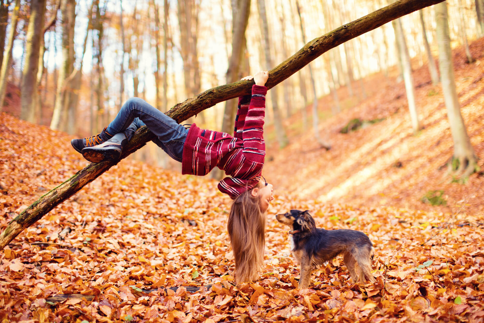 5 ideas for Fall adventures with the kids and the dog