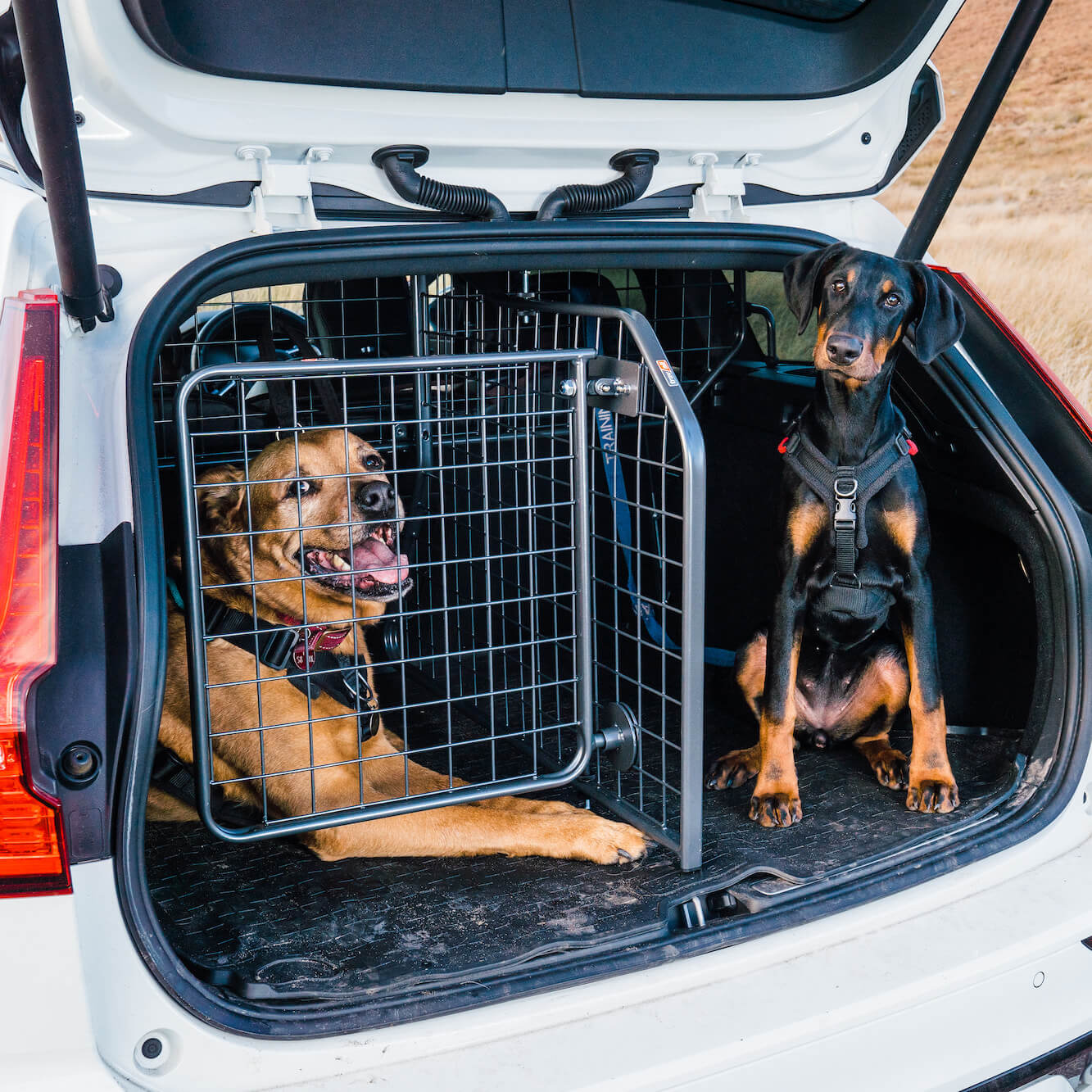 Influencers give their reviews of Travall car accessories