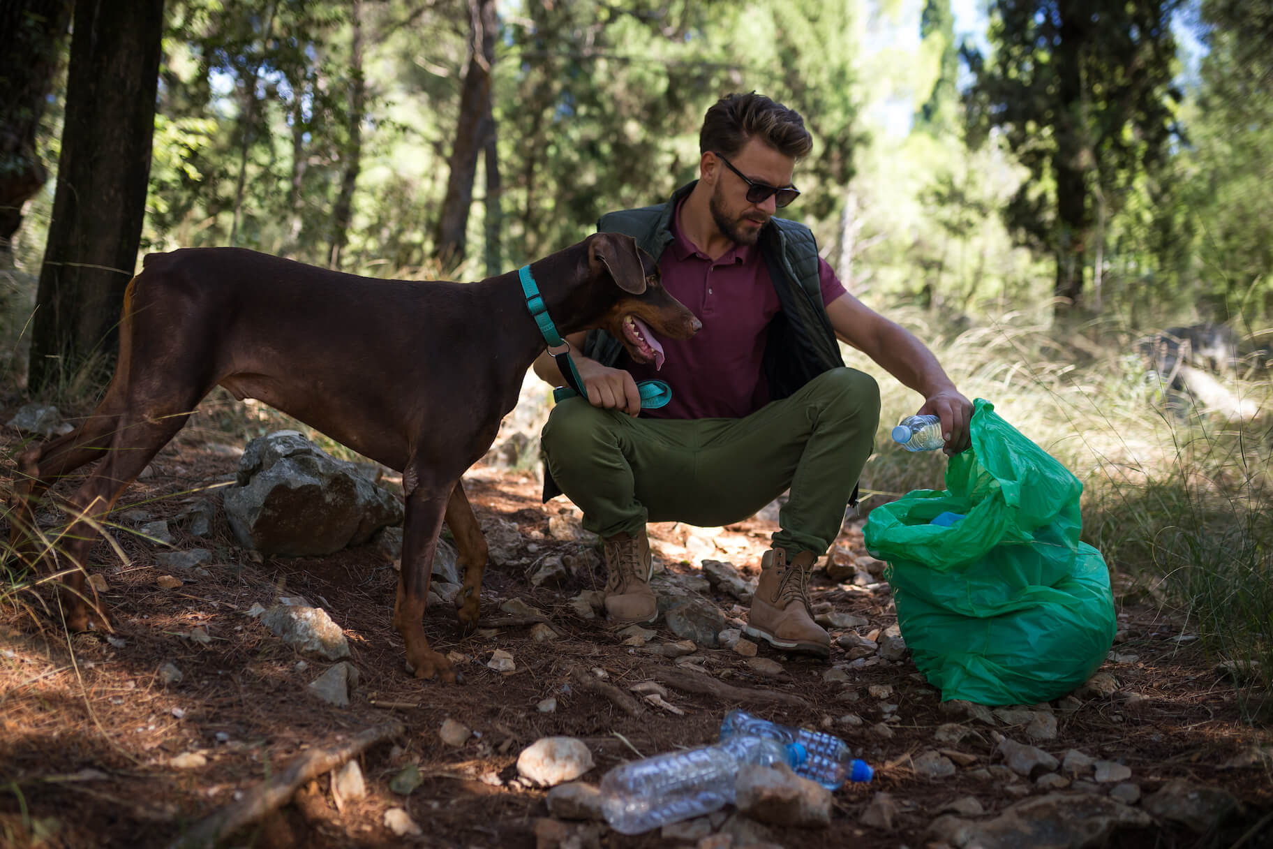 Going greener: how to care for your dog in a sustainable way